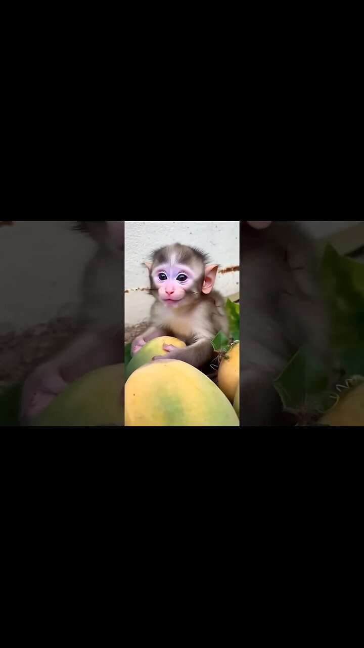 Cutest grin award goes to this adorable baby monkey! 🐒🏆
