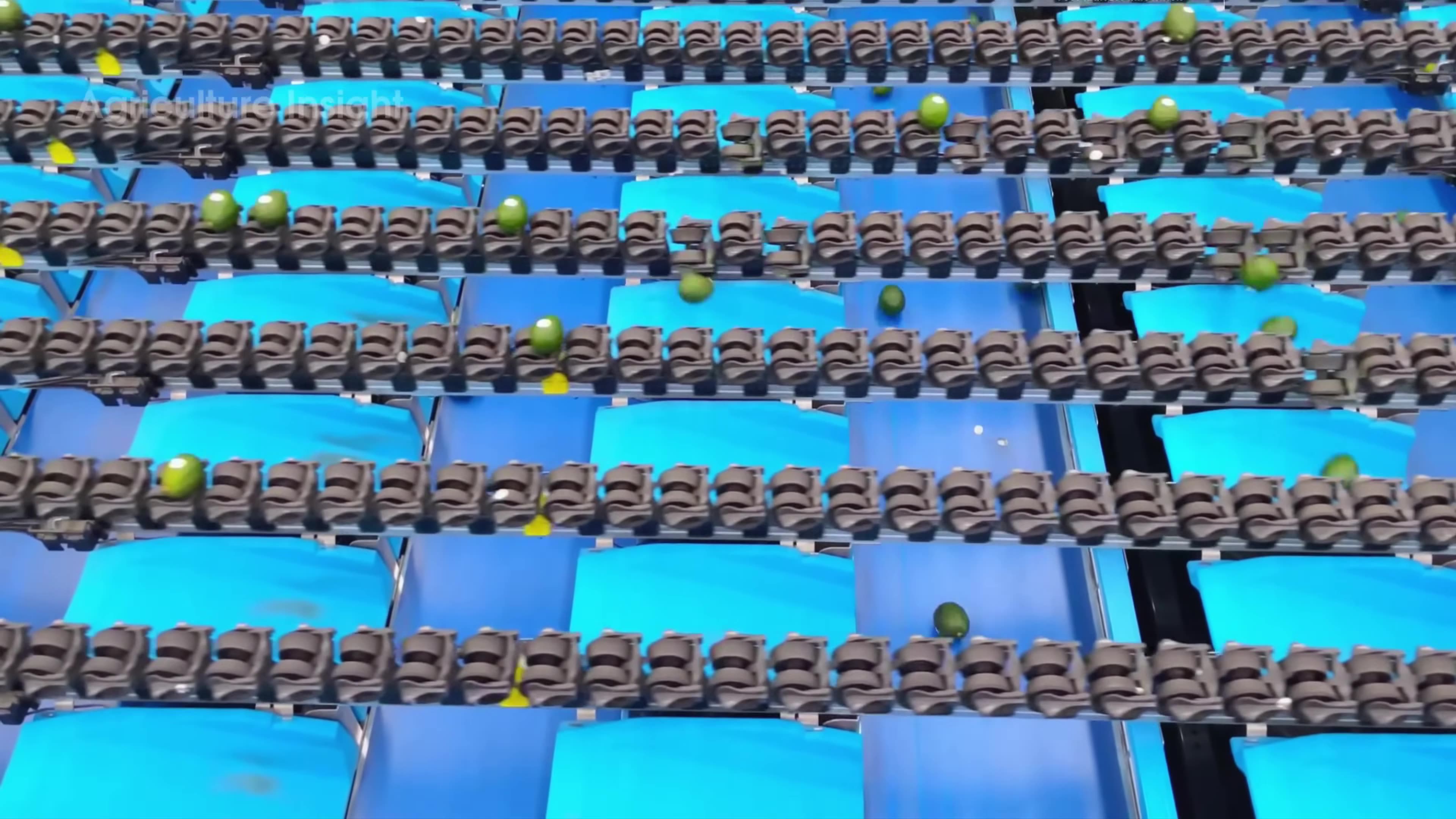 How Pearls Are Made 💎🦪 | Fascinating Pearl Oyster Farming & Jewelry ...