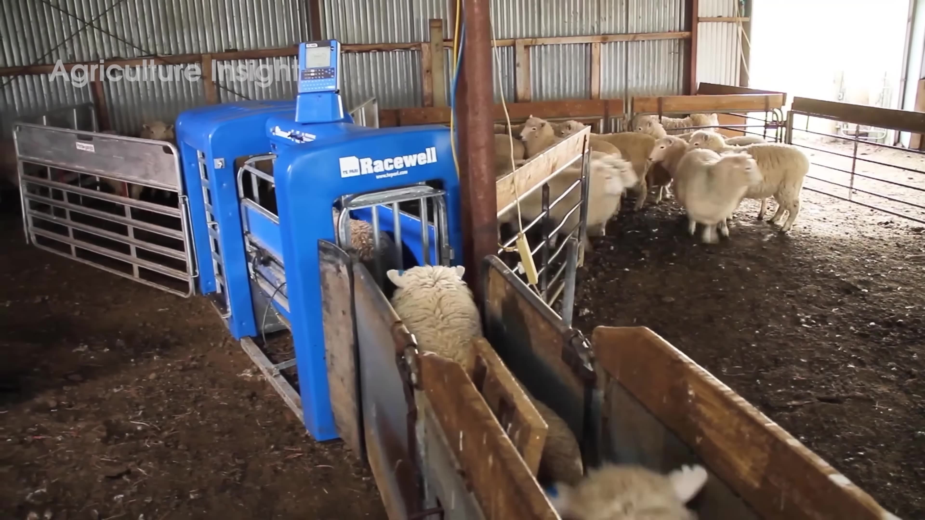 Amazing Instant Noodles Factory 🍜 | How 121 BILLION Servings Are ...