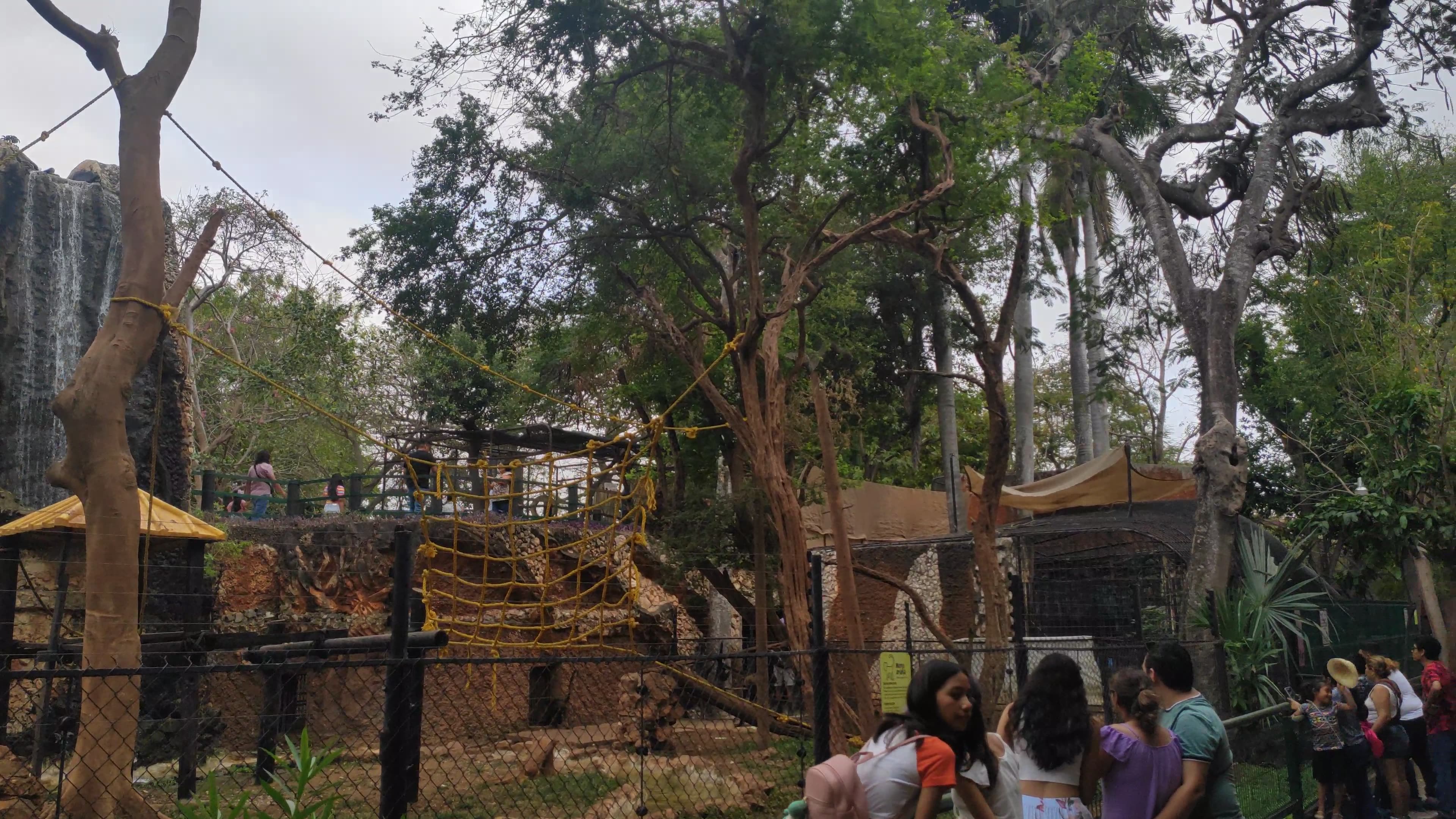 Parque Zoológico del Centenario- Mérida - Yucatán - 4K - Parte 3