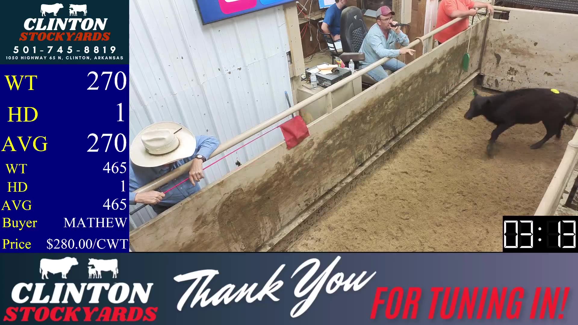 5/31/2025 - Cattle Auction - Clinton Stockyards