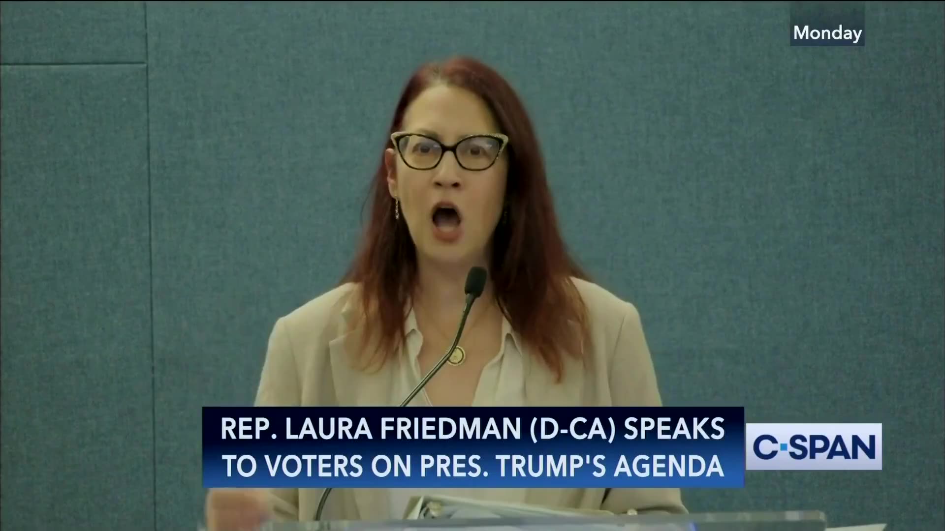 Dem Rep. Laura Friedman Admits Weekly Meetings with Far-Left AGs to ...