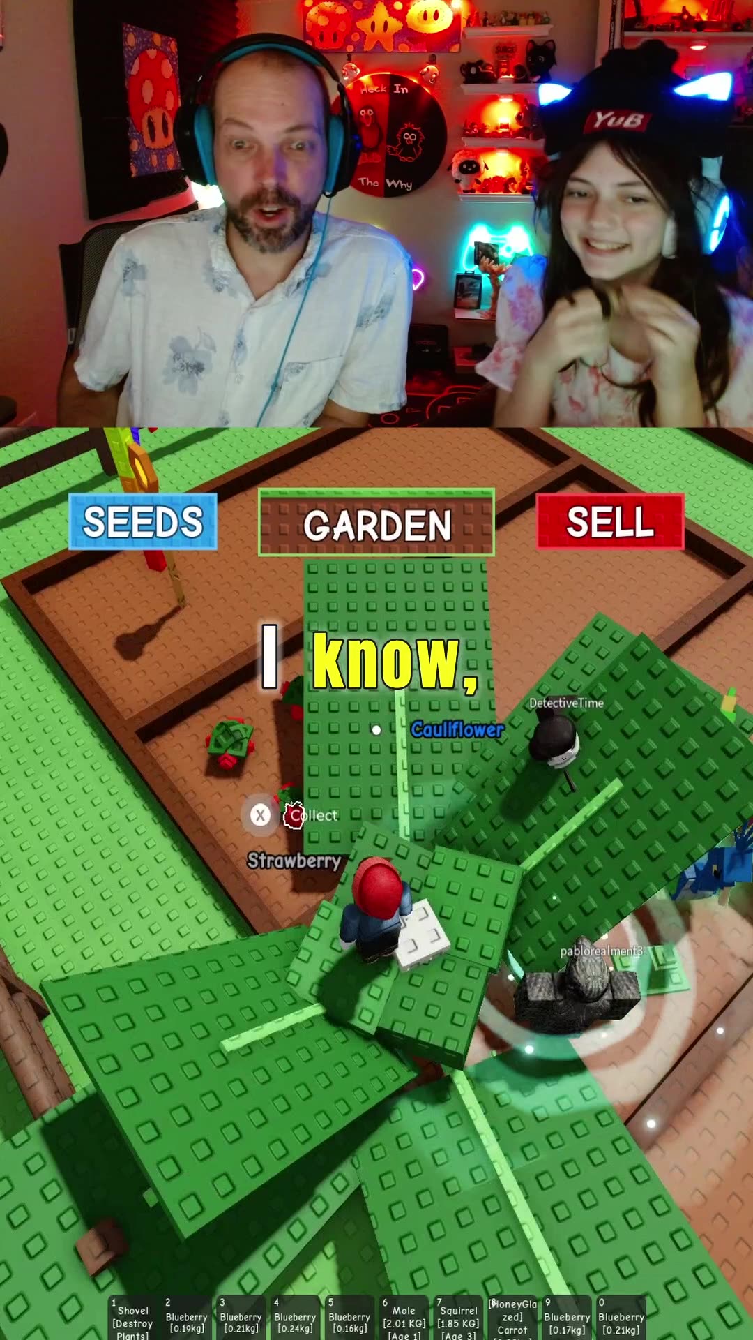 Cauliflower Catastrophe | Roblox Grow A Garden