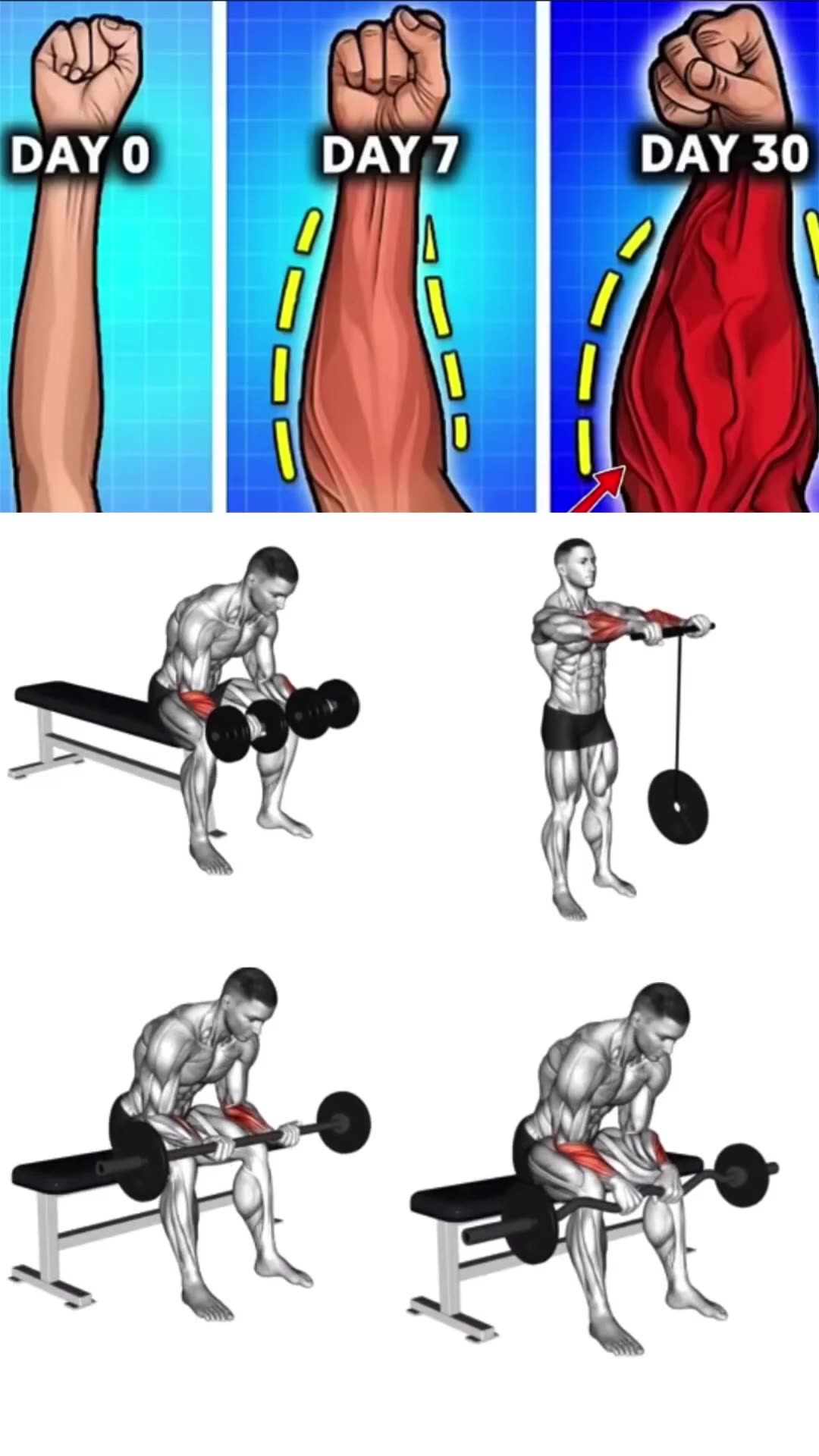 6 Wider shoulder exercises ( fastest )