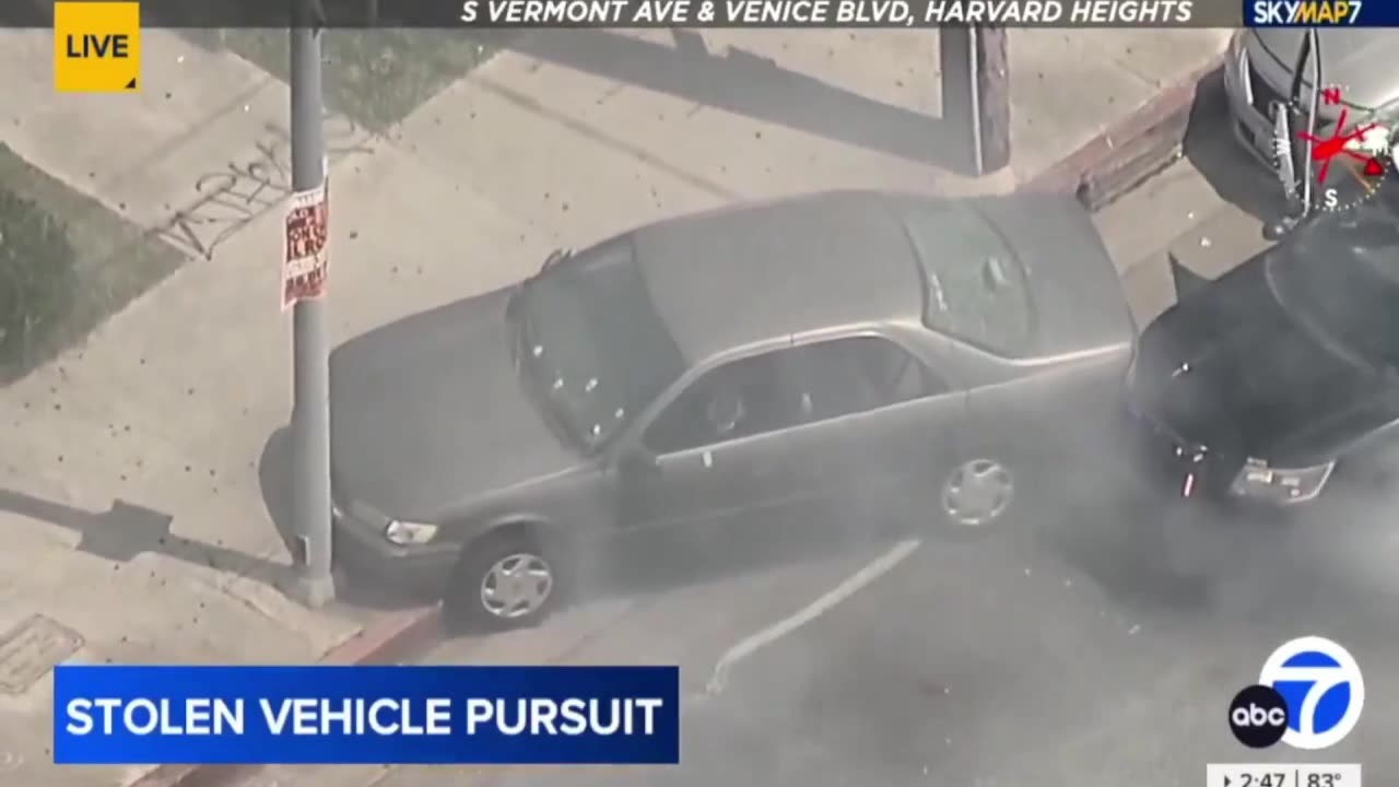 Daddy Goat 24/7 - Out Of Context Memes & Videos