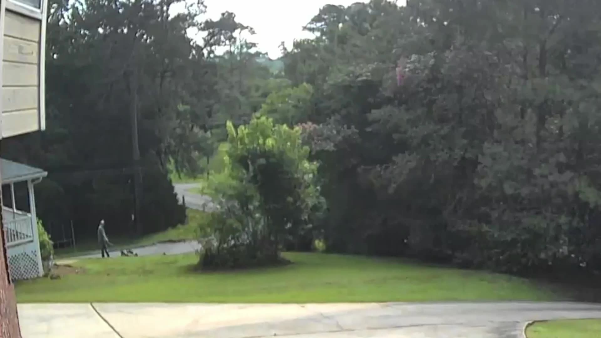 *FLASH* Lawn Maintenance