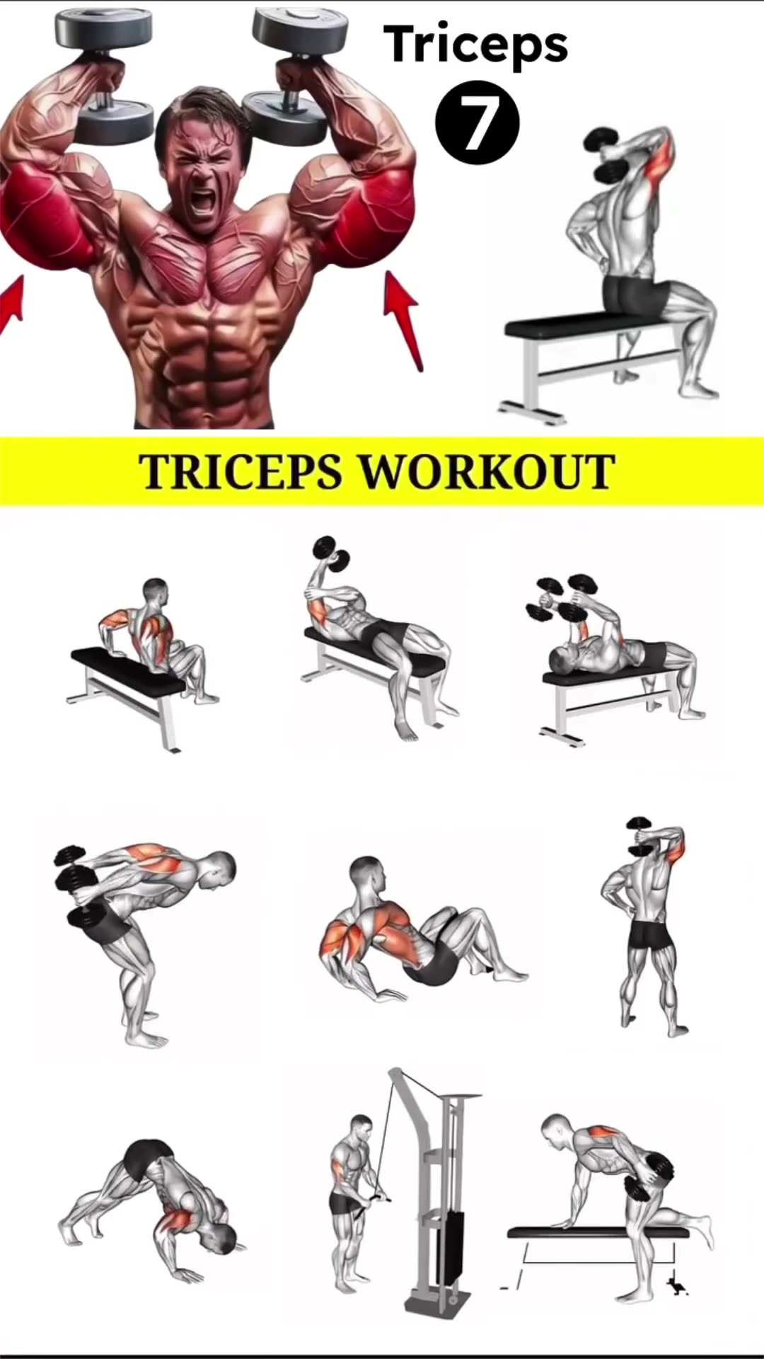 6 Must-Try Bicep Exercises for Massive Size and Peak Definition