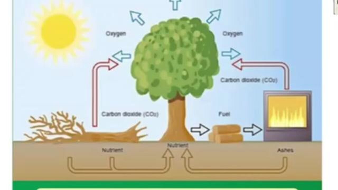 "Dr. Patrick Moore's Insight: Understanding CO² as the Life-Giving ...
