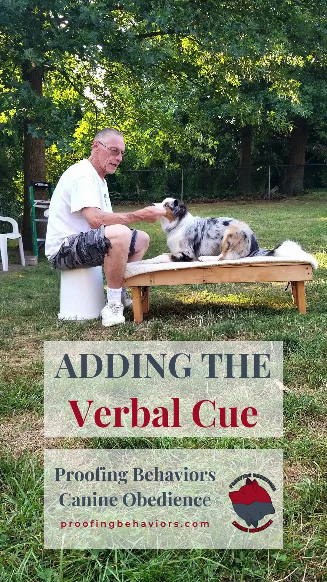 Back to the Basic Adding Verbal Cue short 3