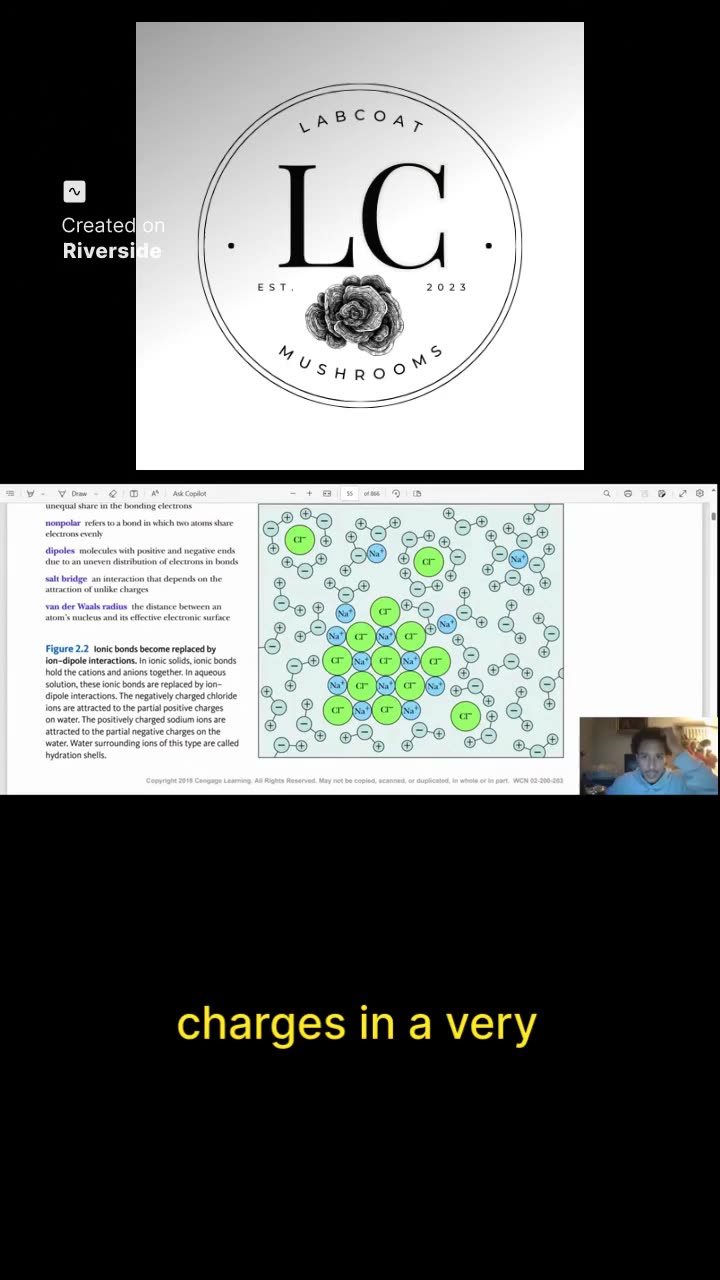 What Actually Happens When You Mix Salt In Water – Biochemistry Ch2 P1 ...
