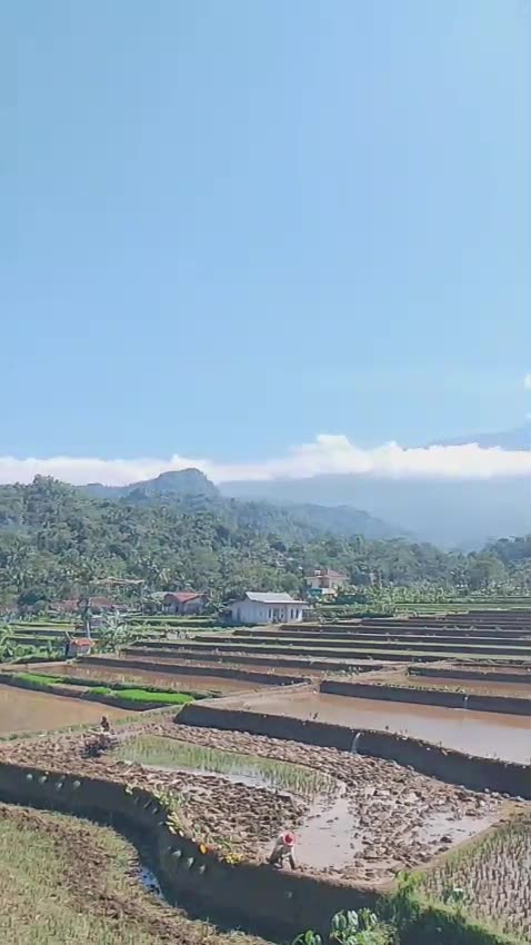 Pemandangan gunung slamet