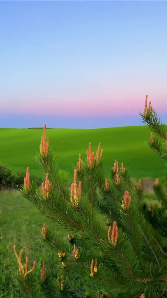 Fucking Tree 😂