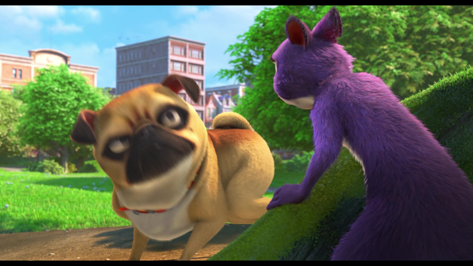 Precious Pug Butt Moments