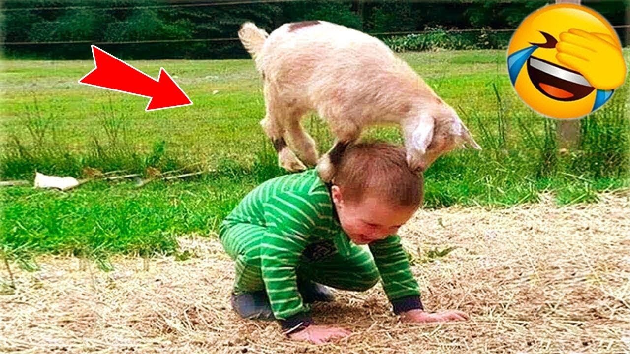 Funny Babies Reactions When Meet Animals Cute Baby and Pets
