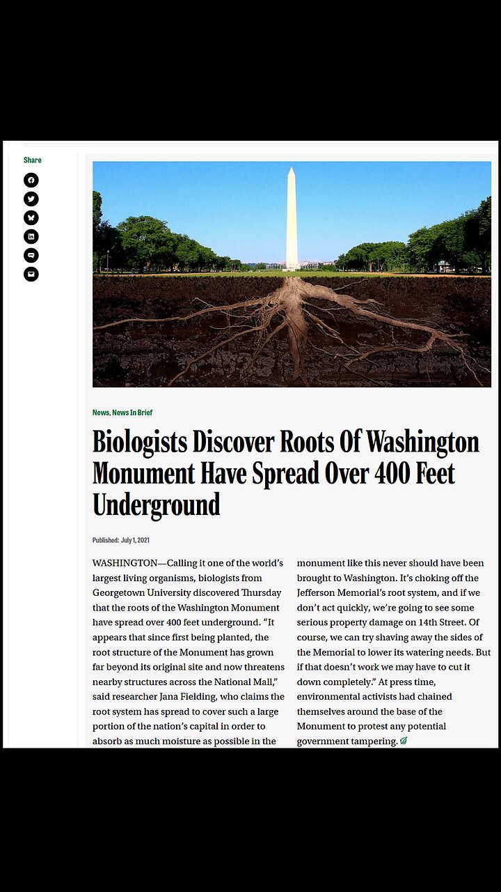 SECRET TREE INSIDE THE MASONIC WASHINGTON MONUMENT