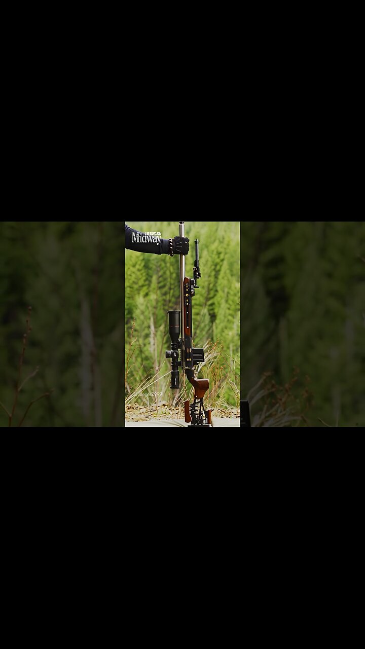 Modern Wood Rifle V2/ Woox Furiosa Ultra
