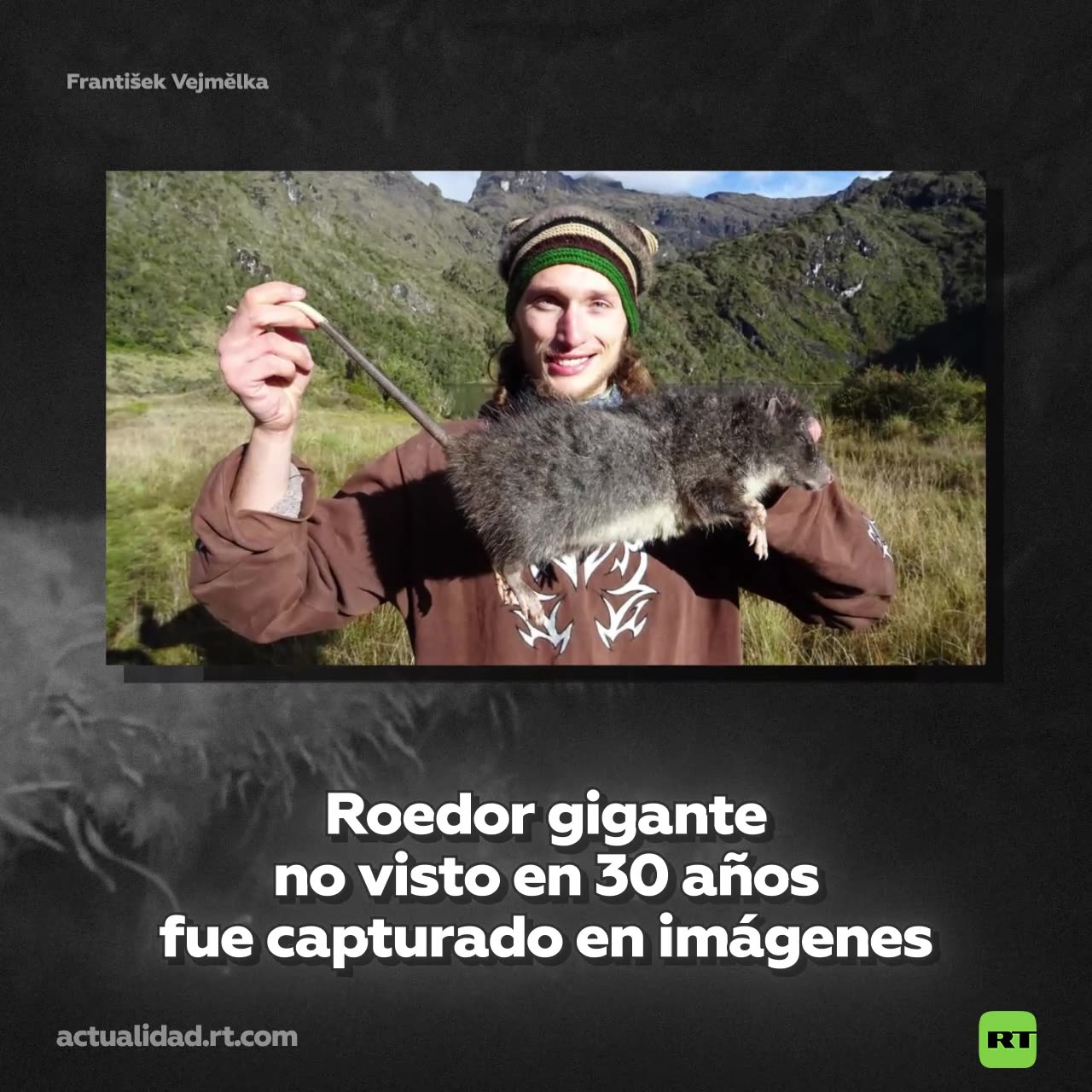 Un roedor de rara especie aparece vivo por primera vez en 30 años