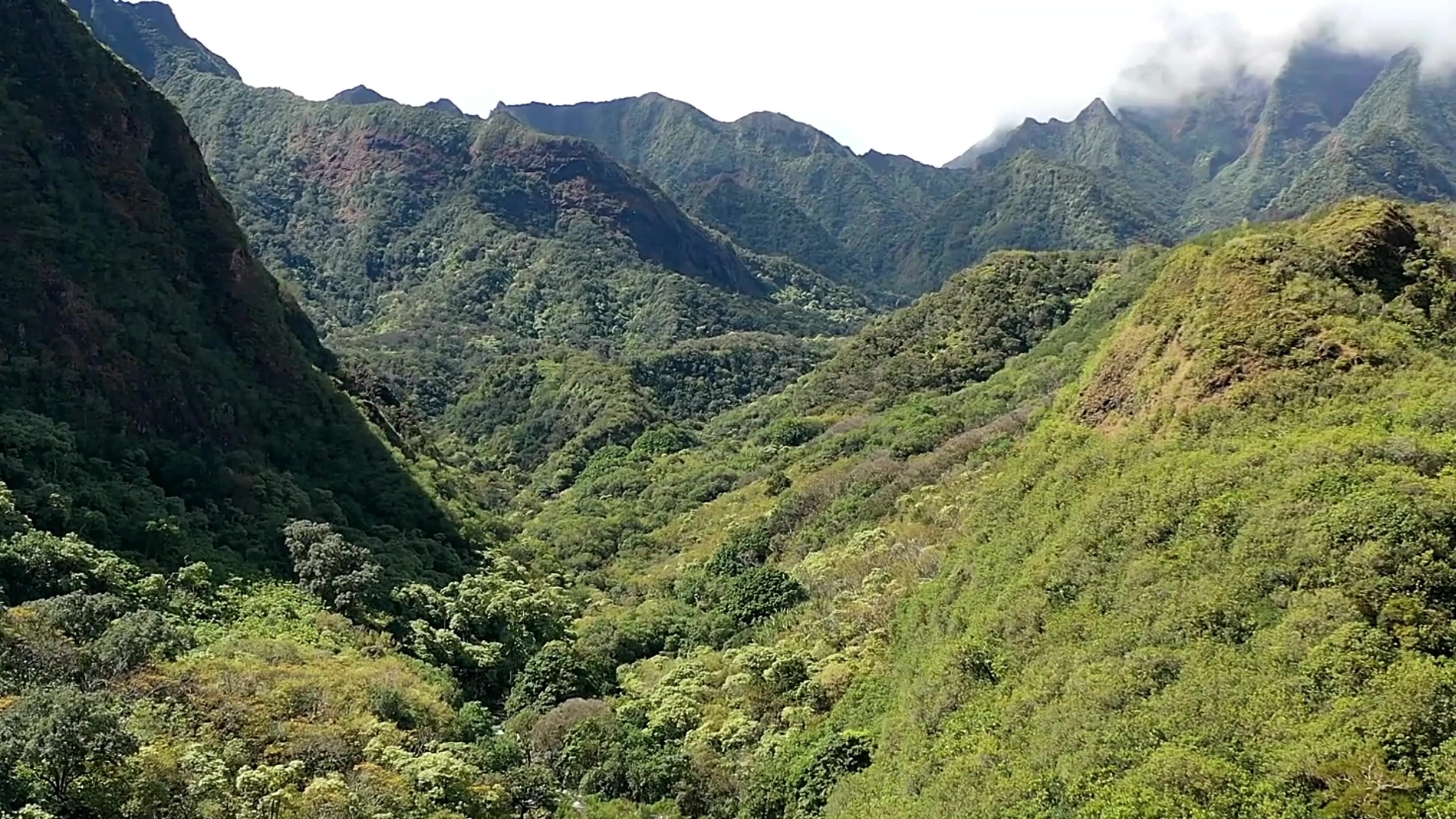 Top 10 Things to Do in Maui, Hawaii | 4K Travel Plans | Volcanoes ...