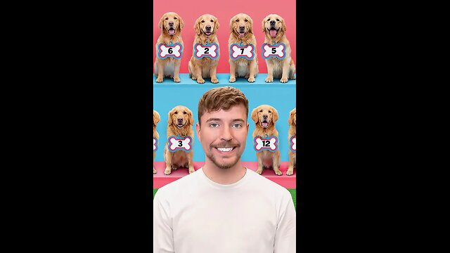 Find Your Dog Win 10 000