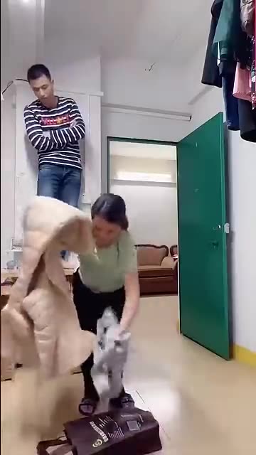 Hilarious Chinese Comedy Skits!"