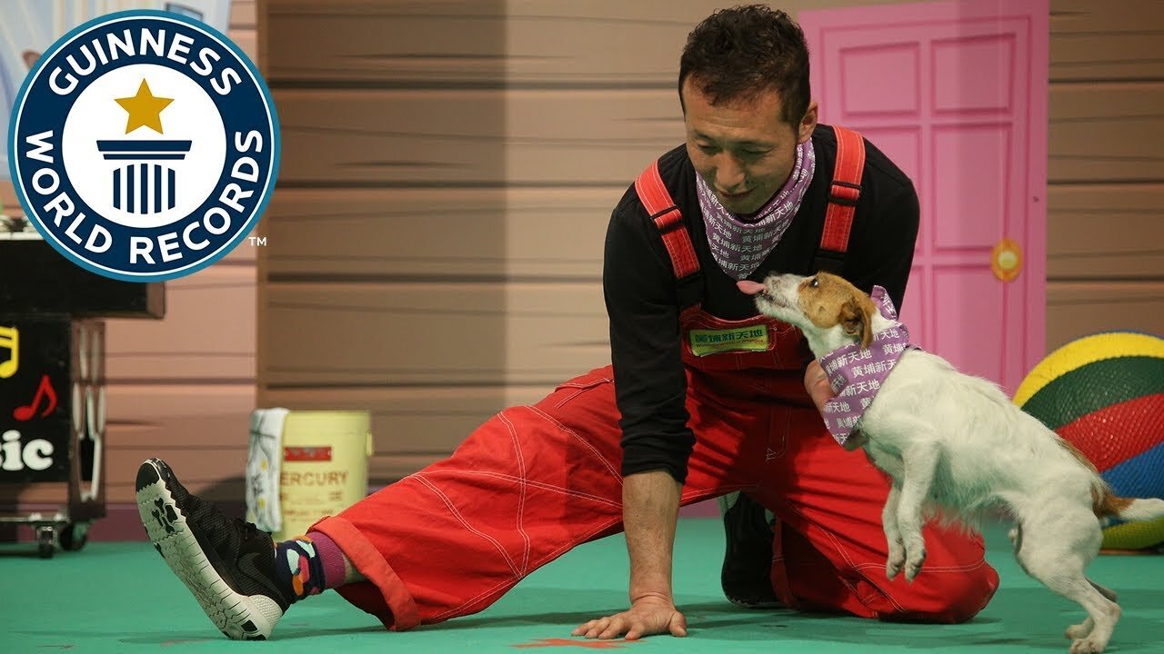 Most jumps over a moving human leg by a dog in thirty seconds ...