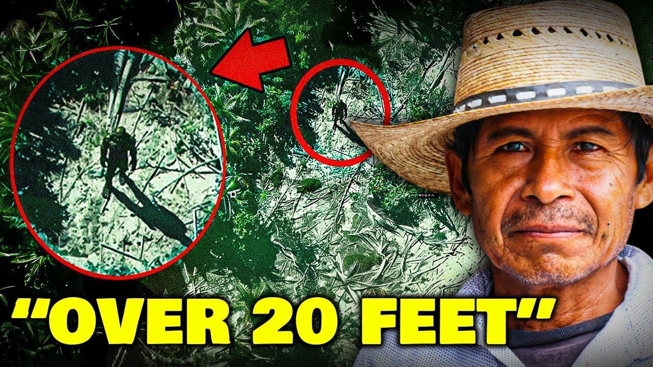 Saw a 20 Foot Tall Giant in Mexico" (Real Nephilim Giant Sightings)