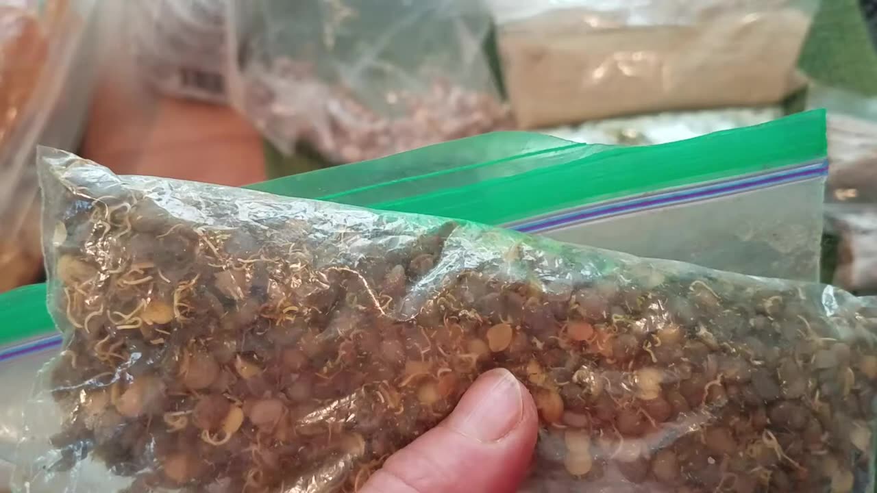 Vegan Backpacking food for HCLF, 80/10/10, medical medium, SOS, grain ...