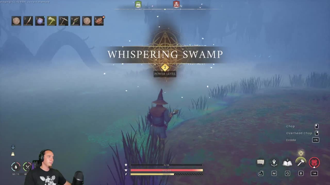 Runescape Dragon Wilds