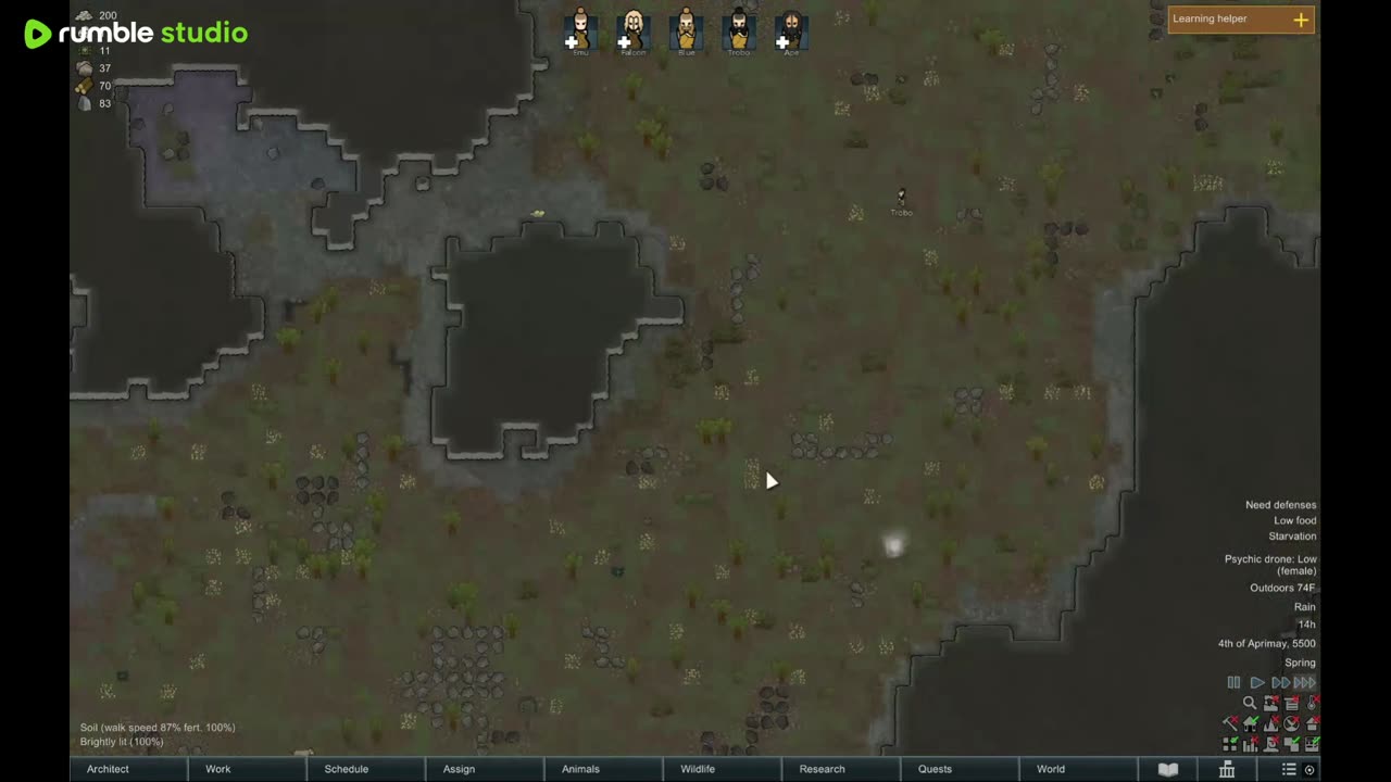 Rimworld - Random Fun