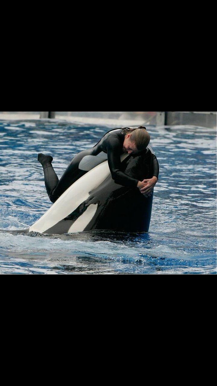 Jessica Radcliffe Orca Attack Jessica