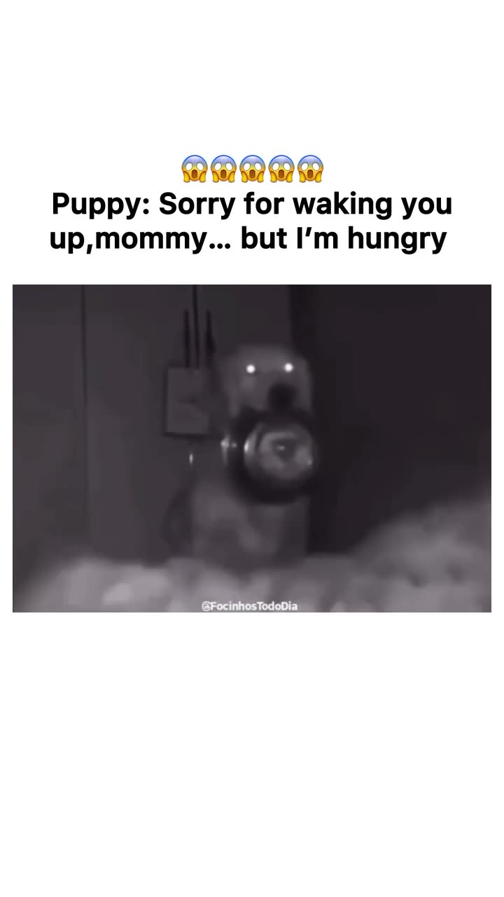 He is hungry 😂