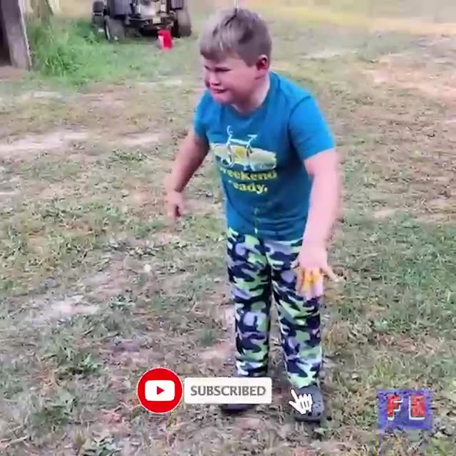 Funny Video Memes