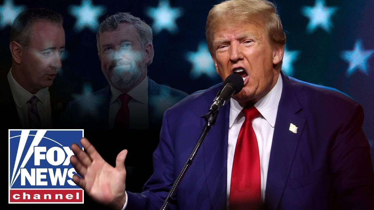 ‘EXPLAIN’: The two Republicans that voted against Trump's 'big ...