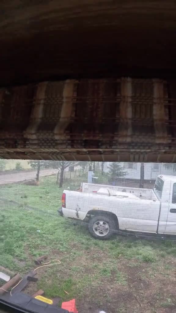 🐫HumpDay🐕‍🦺Devotional🙏