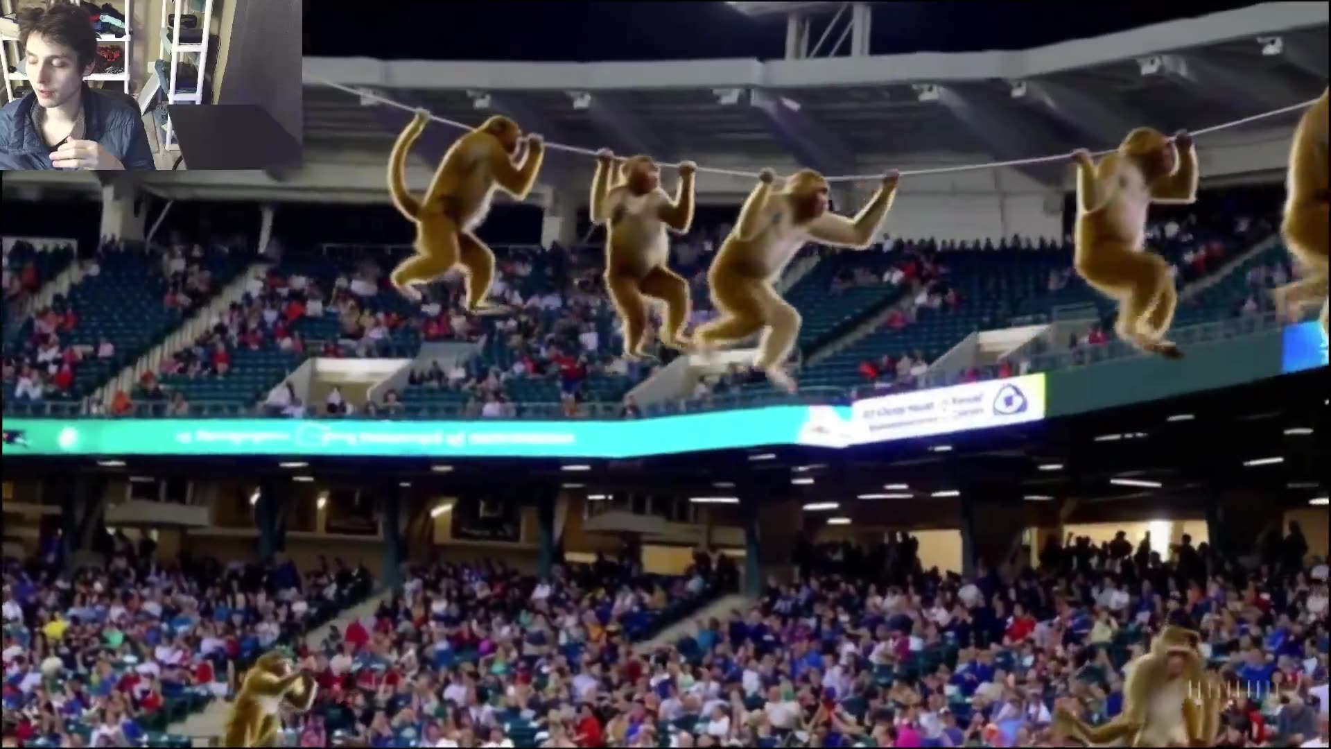 Outtake #1,069 Of Over 10 Monkeys Roam Around A Baseball Stadium Fake ...