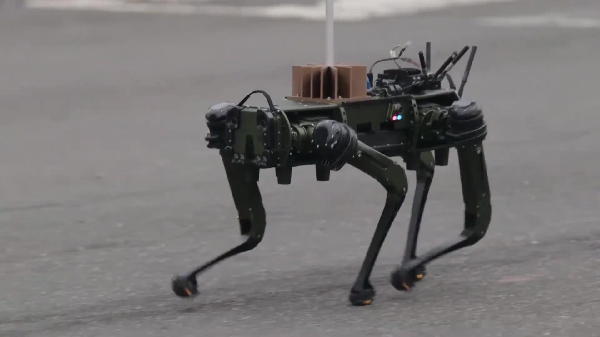 INSANE Moments from U.S. Army’s 250th Birthday Parade 🇺🇸 (Robot Dog ...