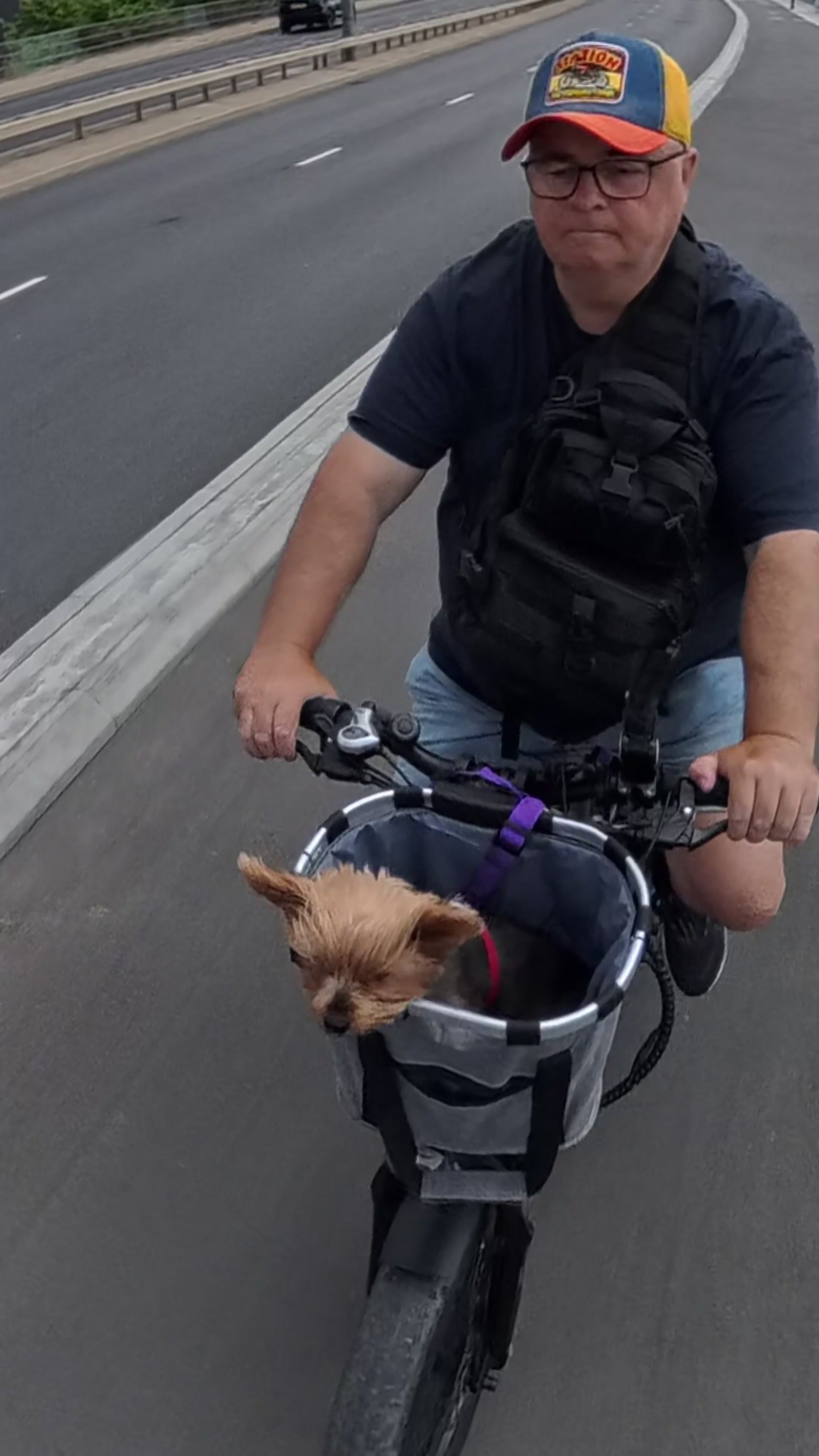 Yorkie Lucy’s Bike Adventure Across Leigh Bridge, Silvertown! # ...