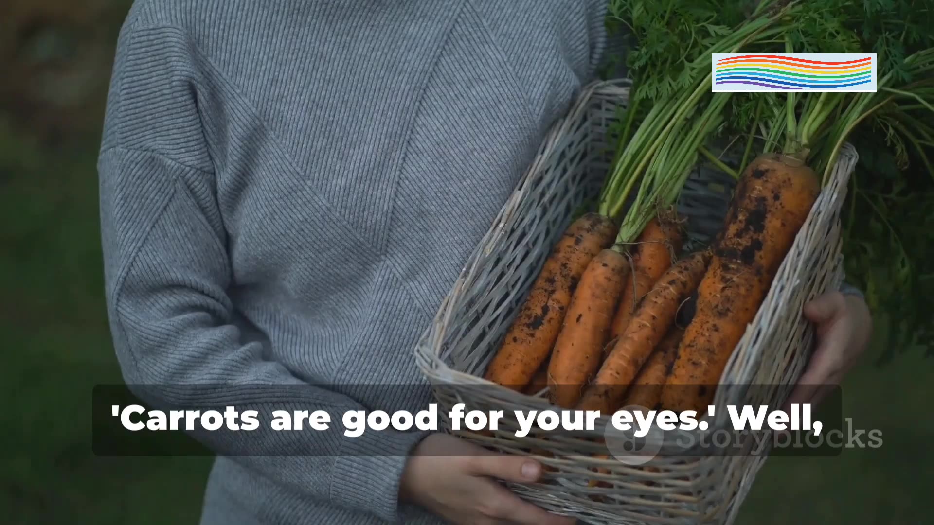 Carrot Facts You Didn't Know! | Superfood Benefits, History & Colors in ...