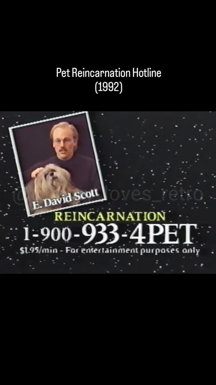 REMEMBER THE REINCARNATION HOTLINE?