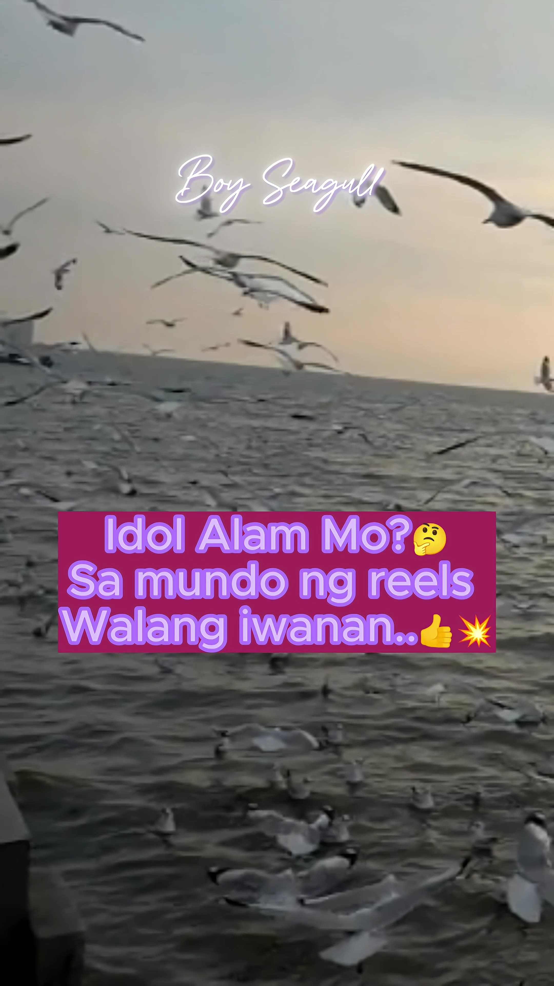 Sa mundo ng reels
