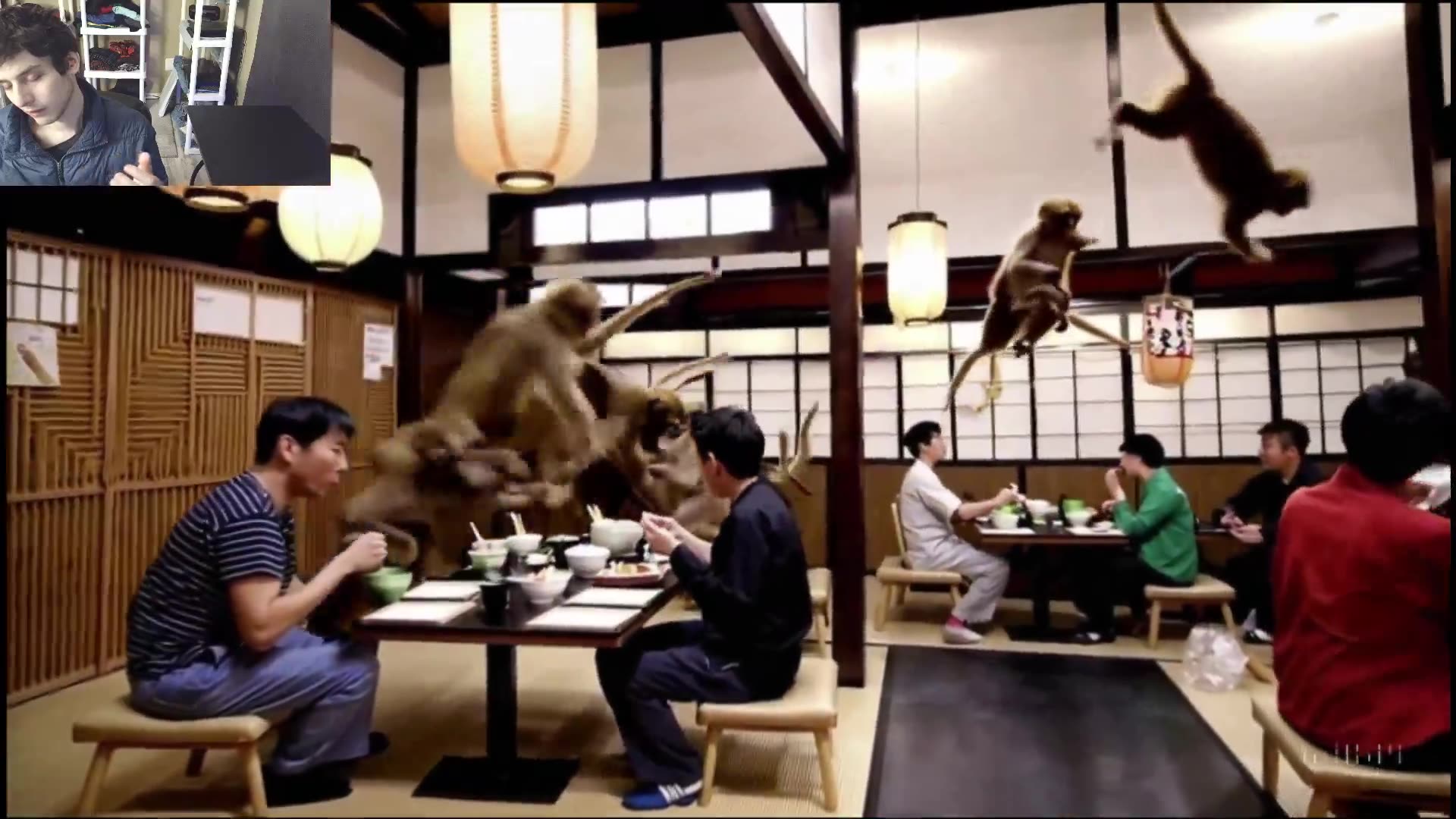 Over 4 Monkeys Roam Around A Japanese Restaurant Fake Funny Parody Video