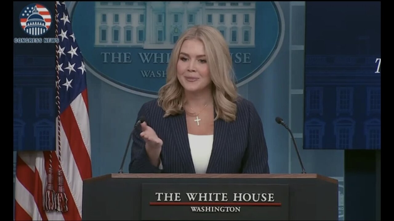 Watch Trump's Press Secretary Brings Receipts On Gov't Waste Found By DOGE