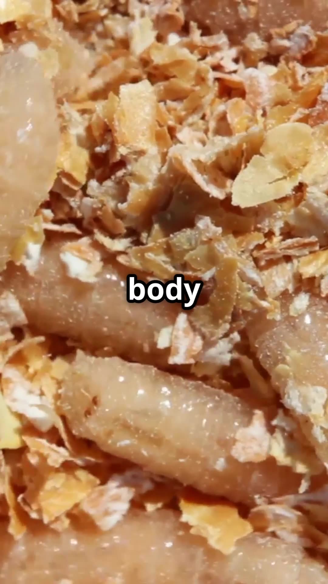 🧬🔍 DNA from a Maggot’s Gut Solving Crimes with Forensic Entomology! 🪱🕵️‍♂️