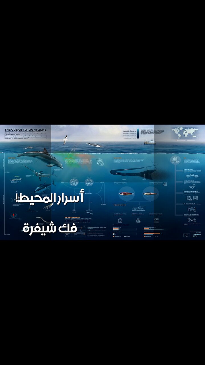 Ocean's Secret Language? Scientists Decode Marine Sounds!