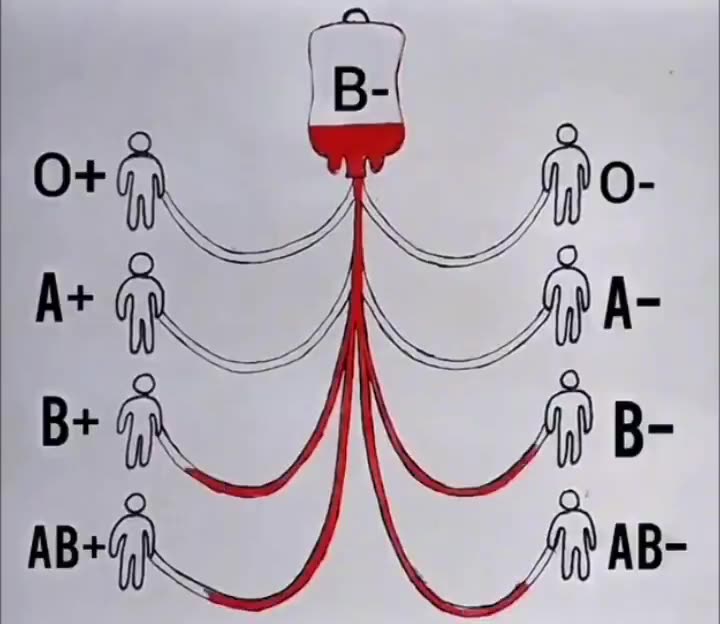 Blood Type Compatibility. Matches and Mismatches