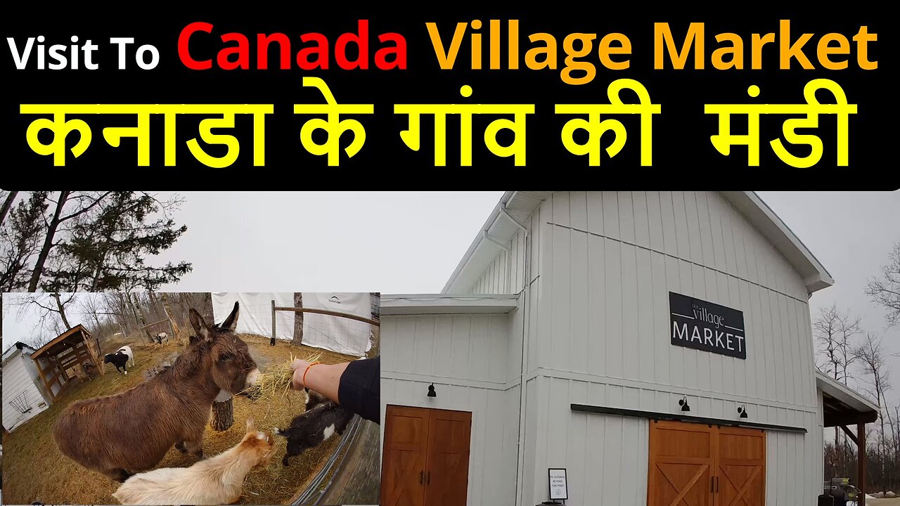 Visited Today Canada's Village Market चलें कनाडा के गांव की मंडी # ...