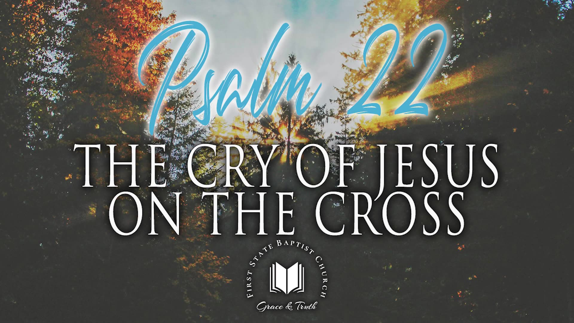 6 - The Cry Of Jesus On The Cross： Psalm 22