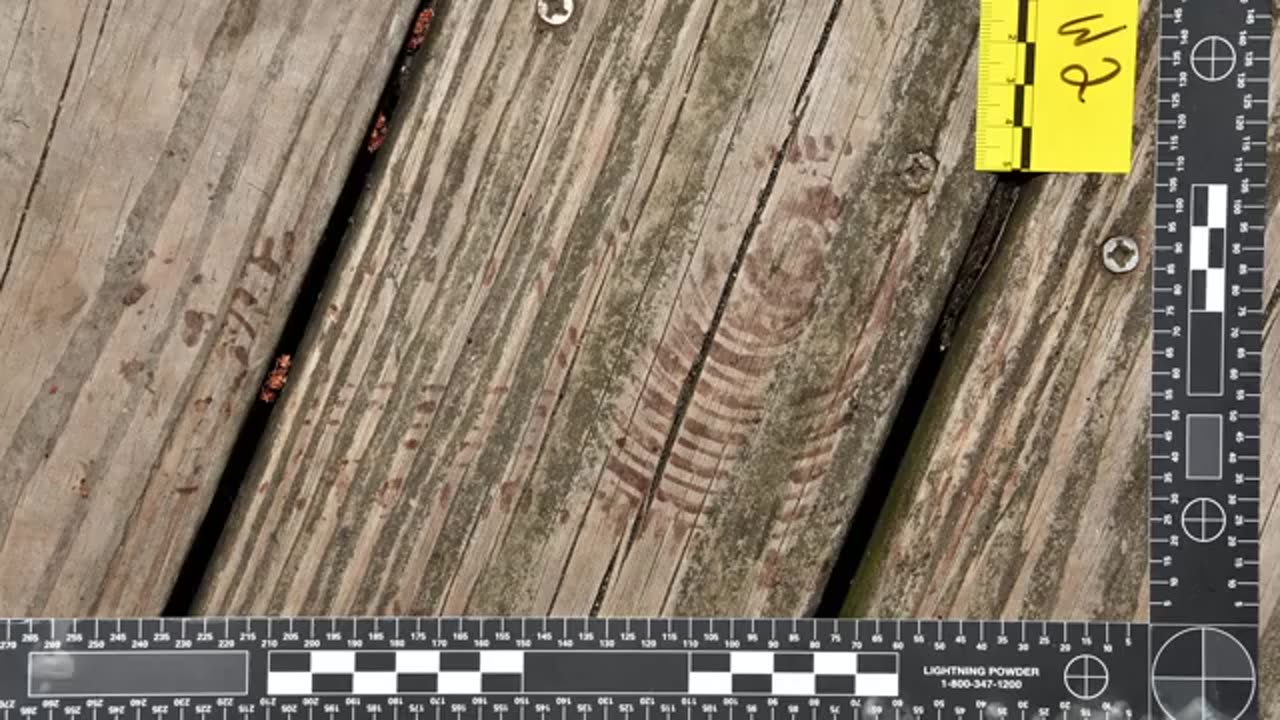 Gruesome Discovery Reveals Secret Life: The Murder of Todd Morgan [True ...