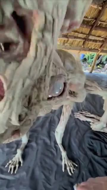 Super Scary creature