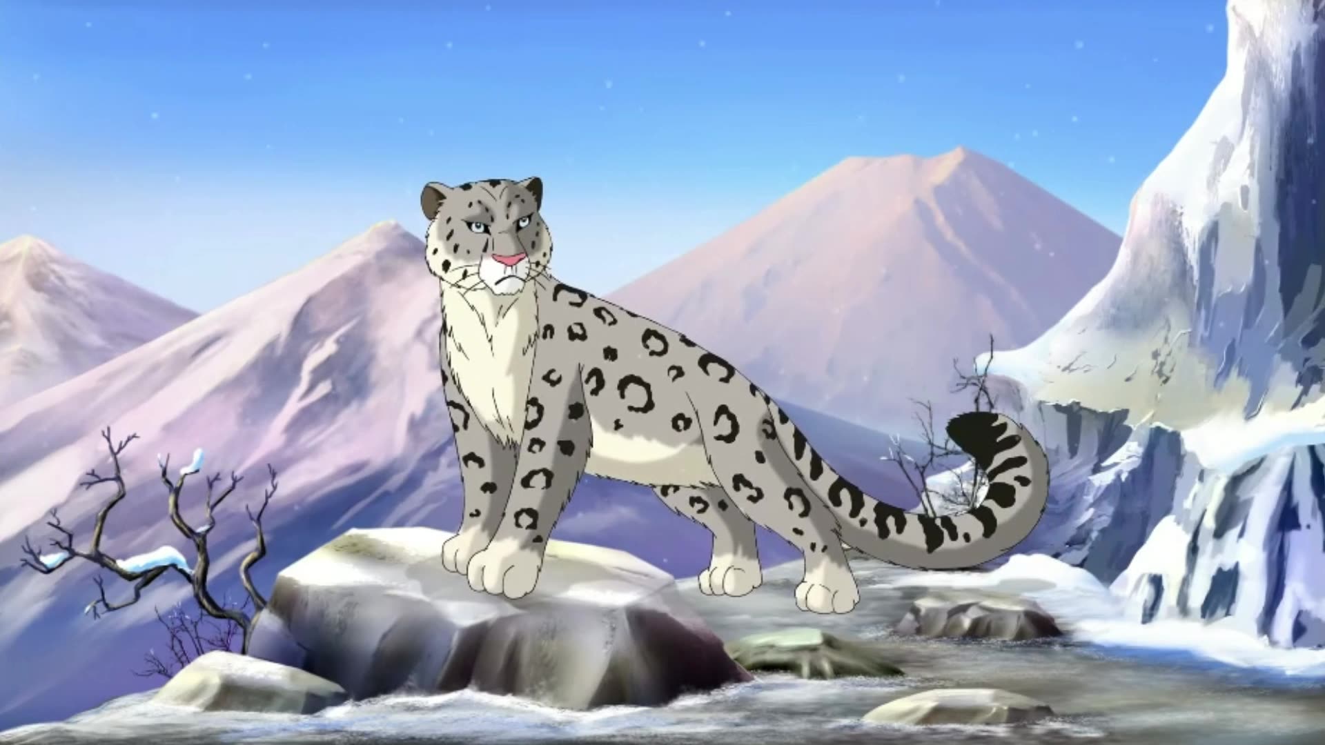 Snow Leopard: The Ghost of the Mountains